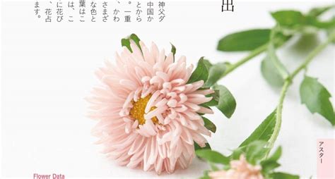 花図鑑のおすすめ18選子ども向けのDVD付き図鑑や花言葉図鑑も HEIM ハイム