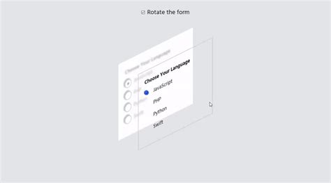 CSS Radio Buttons WebArtDeveloper