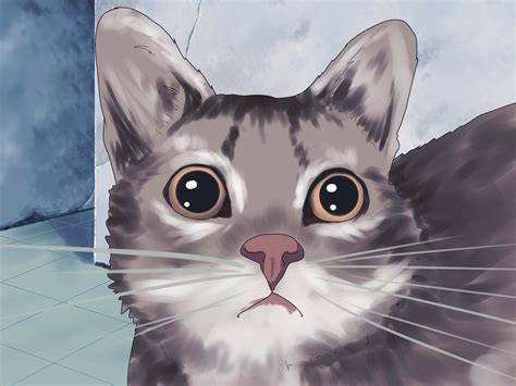 How To Draw A Realistic Cats Face Tutorial