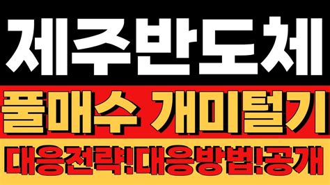 제주반도체 대응전략 대응방법 공개 풀매수 개미털기 시작 제주반도체 제주반도체 주가전망 한미반도체 Hbm