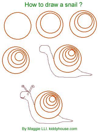 How To Draw A Snail
