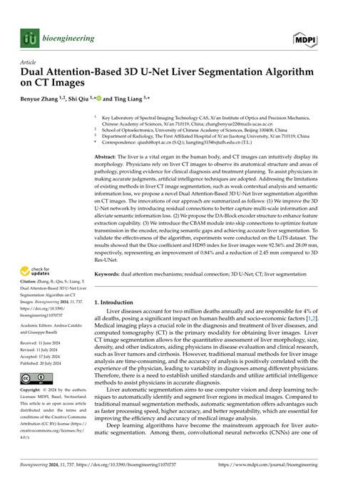 PDF Dual Attention Based 3D U Net Liver Segmentation Algorithm On CT