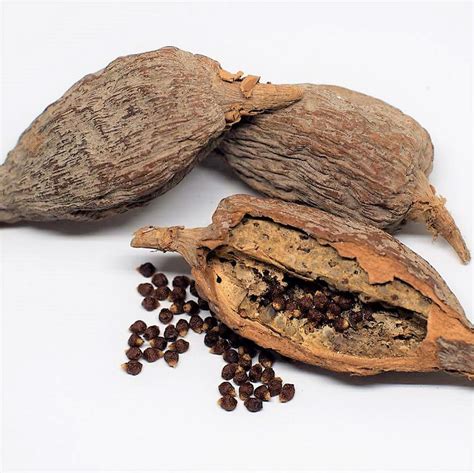 Alligator Pepper Carry Go Market