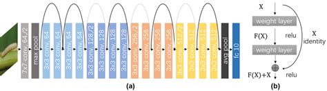 Resnet18 A And Residual Connection B Download Scientific Diagram