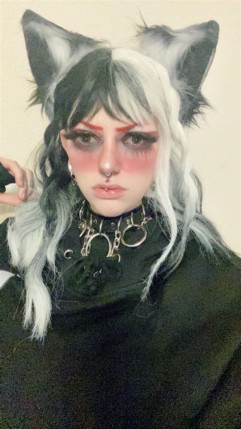 Cat Girls Will Rule The World Scrolller