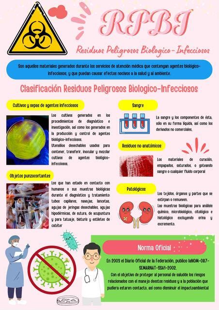 Infografia Rpbi Bl Mariana Udocz