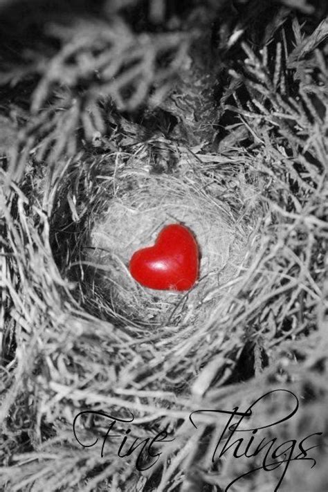 17 Best Empty Nest Humor Images On Pinterest Posts Awesome Things