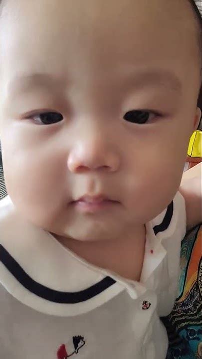 딸랑이 파괴자 Youtube