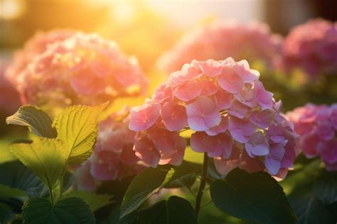 10 Flowers That Represent Jealousy Green Eyed Blooms Foliage Friend