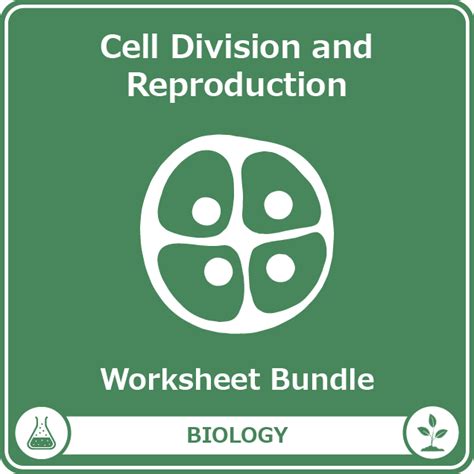 Cell Division And Reproduction Worksheet Bundle Good Science