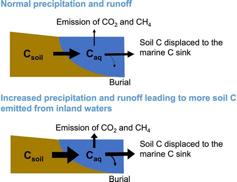 The Effect Of Increased Precipitation And Runoff On The Aquatic Download Scientific Diagram