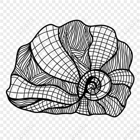 Lovepik صورة Psd 380409333 Id الرسومات بحث صور صدف جميل الحياة البحرية مجردة بالأبيض والأسود