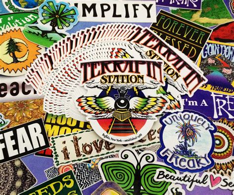 Terrapin Sticker Root Concepts