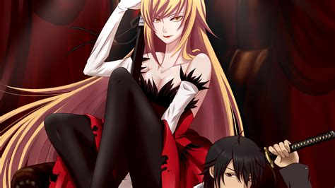 Hd Wallpaper Koyomi Araragi And Kiss Shot In Monogatari Series