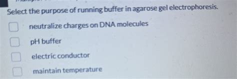 Solved Select The Purpose Of Running Buffer In Agarose Gel