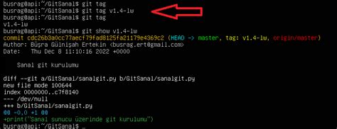 GitHub Busrag GitSanal