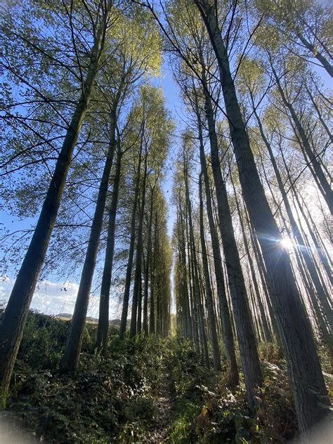 The Litter Pickers Added A New Photo The Litter Pickers