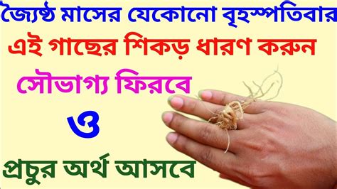 জ্যৈষ্ঠ মাসের যেকোনো বৃহস্পতিবার এই গাছের শিকড় ধারণ করুন। সৌভাগ্য