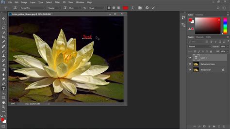Photoshop Tutorial For Beginners 05 Layers Youtube