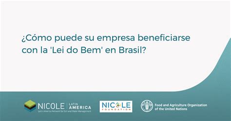 Cómo puede su empresa beneficiarse de Lei do Bem Nicole Latin America