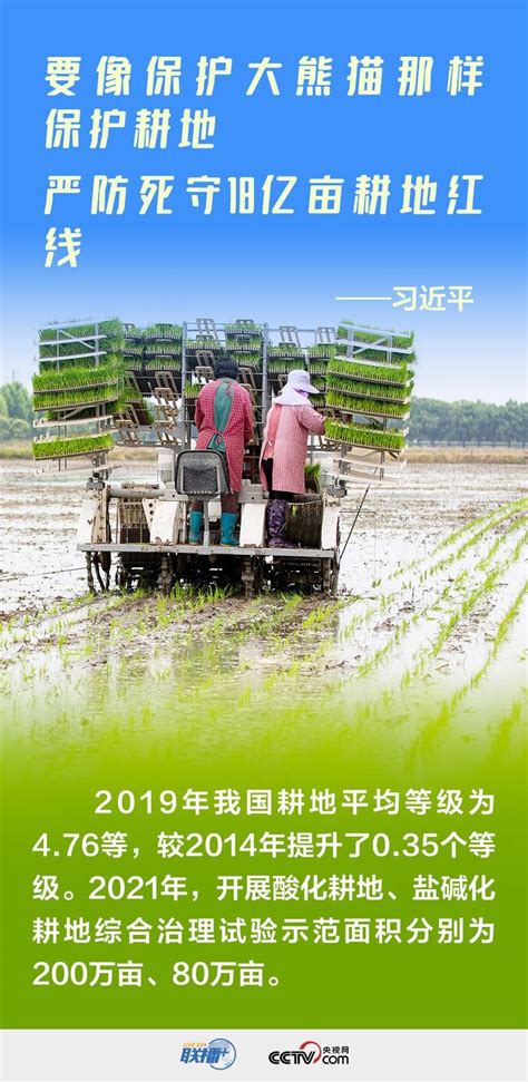 大国粮策 绷紧粮食安全这根弦 习近平这些话要牢记四川在线