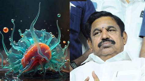 `மூளையைத் தின்னும் அமீபா கேரளாவில் 3 சிறுவர்கள் பலி