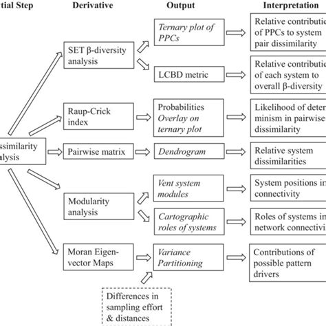 Workflow For The Analyses And Their Contributions To The Biogeographic