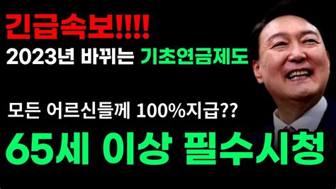 긴급속보 새롭게 바뀌는 기초연금 모든 어르신에게 100 지급 Youtube