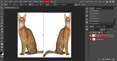 How To Flip A Layer In Photoshop Tech Lounge