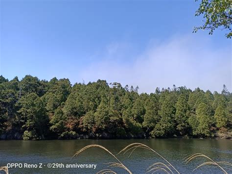 太平山國家森林遊樂區裡的三星池 健行筆記