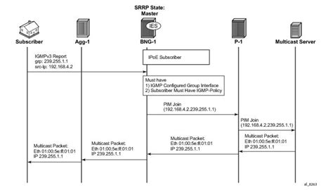 Esm Ipv4 Multicast With Srrp