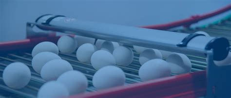 Egg Counter Lubing Uk And Ireland Ltd