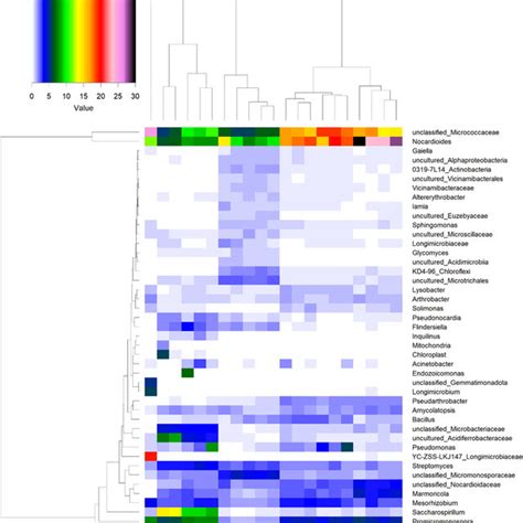 Heatmap Of The Relative Abundance Of The Samples At Genus Level Of The