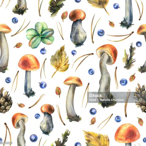 블루 베리 원뿔 단풍 및 나뭇 가지가있는 산림 식용 Boletus 버섯 수채화 그림 손으로 그린 흰색 배경에 매끄러운 패턴입니다 10월에 대한 스톡 벡터 아트 및 기타