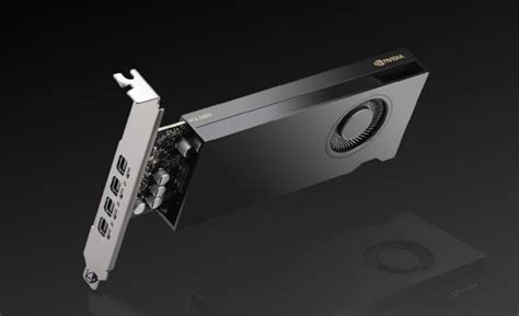 Nvidia Launches Cute And Tiny Rtx 2000e Ada Workstation Gpu Single Slot 16gb Gddr6 Ecc Memory