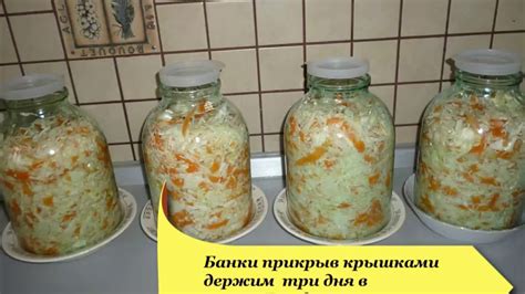 Как солить капусту в банках Квашеная капуста в банке Youtube