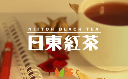 おすすめ紅茶ブランド日東紅茶の特徴 ピントル