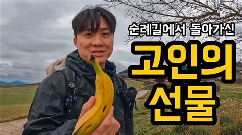 산티아고 순례길 5 용서의 언덕 넘어 우떼르가 까지 산짐승 주의 YouTube