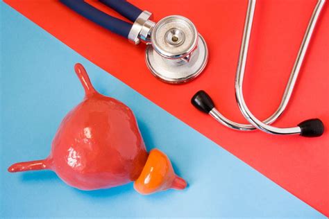 La Prostata Cosè E Come Raggiungere Un Orgasmo Prostatico Attraverso