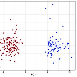 Sex Classification Using A Preliminary SVM Model