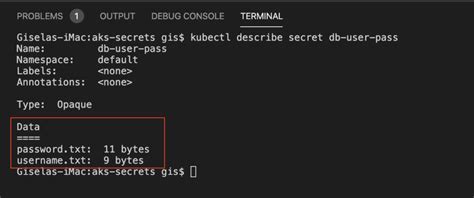 Gestionar Información Sensible En Kubernetes Con Secretos Returngis
