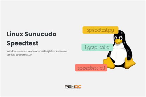 Linux Sunucuda Speedtest Pendc Blog Sayfası