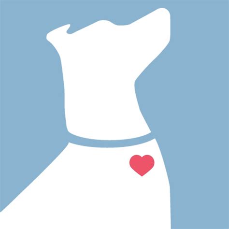 Instinct Dog Behavior And Training St Louis