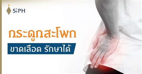 กระดูกสะโพกขาดเลือด รักษาได้ โรงพยาบาลศิริราช ปิยมหาราชการุณย์