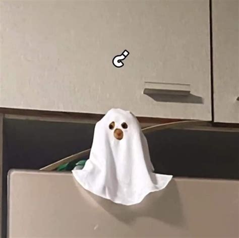 Halloween призрак праздник смешные картинки и другие приколы