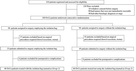 Flow Chart Enrolment Randomization And Treatment Download Scientific Diagram