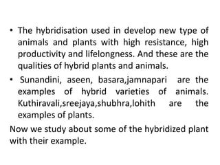 Hybrid Variety Plants PPTX