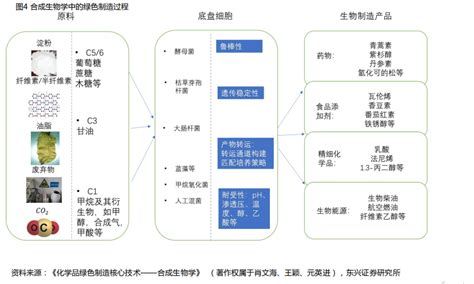 乐晴智库