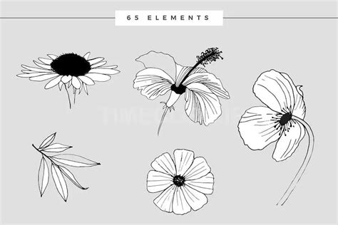 دانلود پترن گل های گرافیکی Graphic Flowers Patterns Elements تایم کد