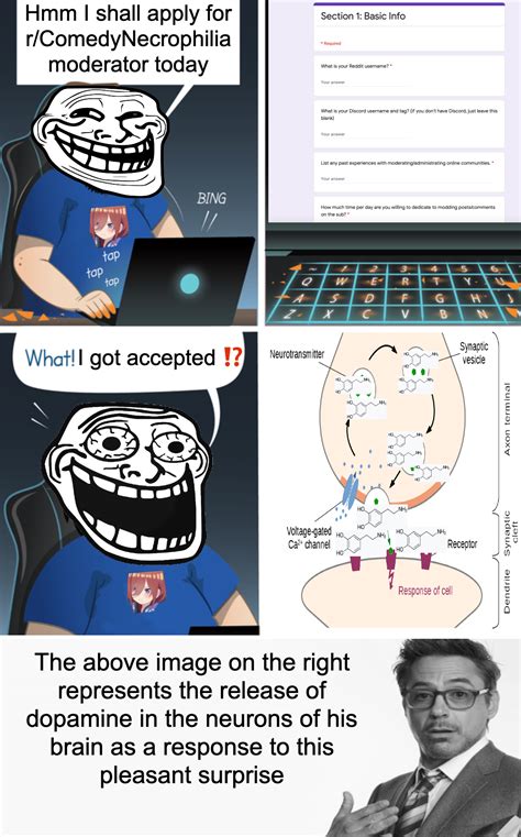 10000 Best Comedynecrophilia Images On Pholder Comedy Necrophilia Coaxedintoasnafu And